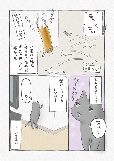 On Twitter