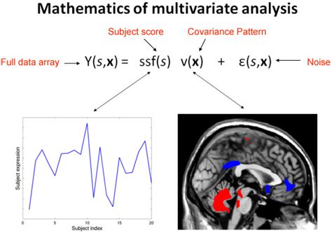 basics of multivariate analysis in neuroimaging data
