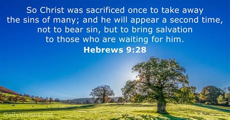 Hebrews Kjv Bible Verse Of The Day Dailyverses Net
