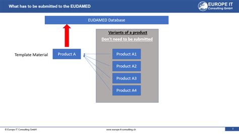 Emdn Codes In Eudamed Functionality And Use