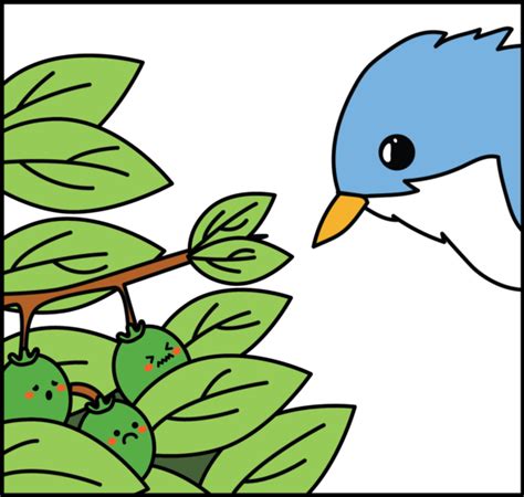 Adaptations How Is A Flower Adapted For Reproduction Primary Babe Science Tuition The