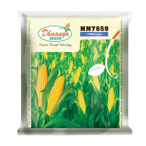 Dhanya Seeds Ltd Maize Dhanya Seeds Ltd Dhanya 7659