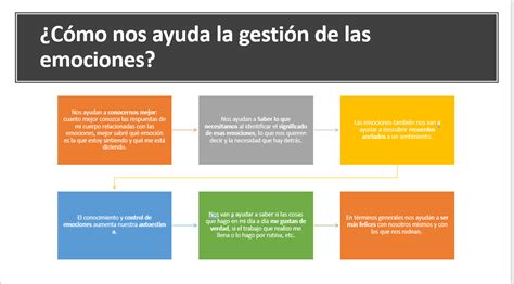 Gestión De Emociones Mirada Emocional