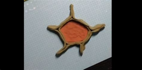 如何制作植物细胞模型 360新知