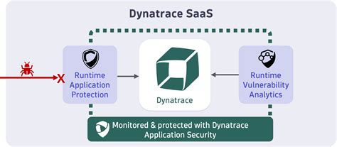 Data Security Controls — Dynatrace Docs
