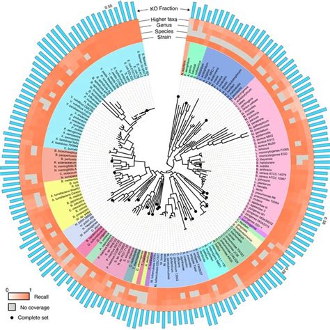 Analysis Flowchart The Comparative Metagenomic Analysis Of The Gut