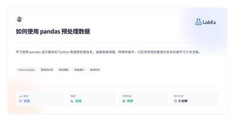 如何使用 Pandas 预处理数据 Labex