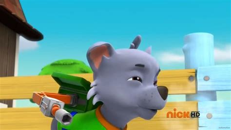 Image Sniffle Sick Rockypng Paw Patrol Wiki Fandom Powered By Wikia