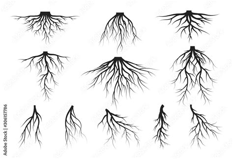 Set Of Tree Roots Silhouettes Vector Isolated Illustration Stock