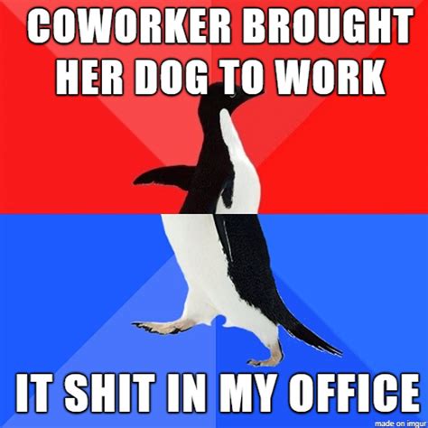 Well This Stinks Meme On Imgur