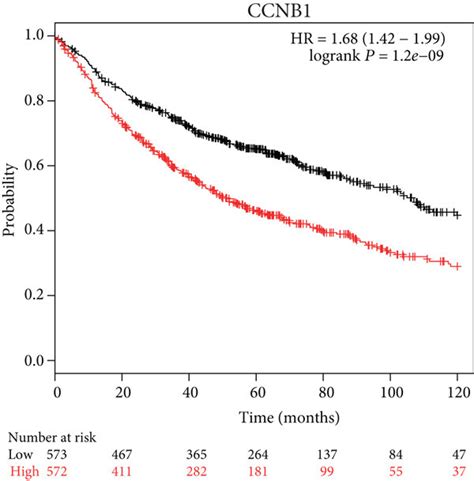 The Survival Analysis Of Four Hub Genes By The Km Plotter A Ccne2