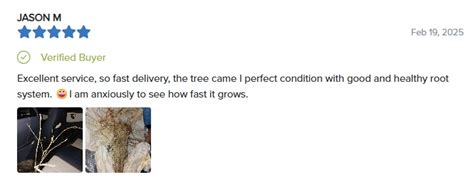 Ty Ty Plant Nursery Llc Reviews See What Our Customers Are Saying