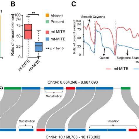 Genome Wide Presence And Absence Variation Pav Analysis Between The
