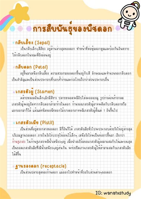 [สอบกลางภาค] การสืบพันธุ์ของพืชดอก ม 5 Clearnote