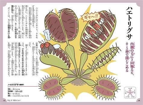 大泉書店『ほんとうはこわい植物図鑑』 まだ知らない植物の世界！ 本 アマナとひらく「自然・科学」のトビラ Nature ＆ Science