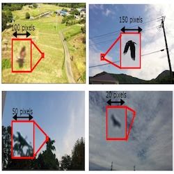 MVA Small Object Detection Challenge for Spotting Birds Dataset Methods and Results 広島