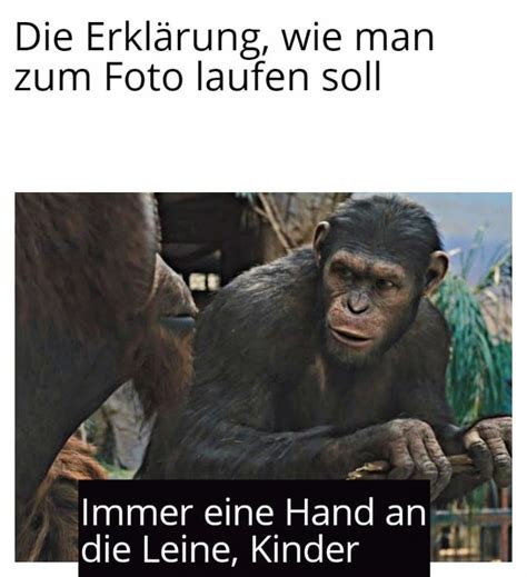 Besser Als Jedes Birril Rlosballos