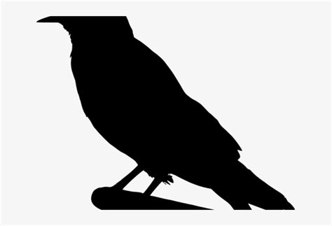 Black Raven Cliparts Free Download