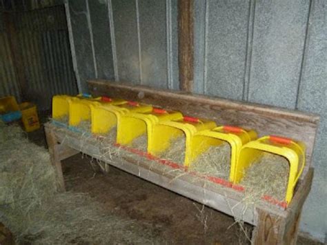 22 Chicken Approved Inexpensive Nesting Boxes