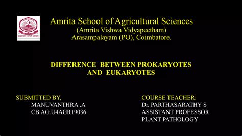 Prokaryotes And Eukaryotes Powerpoint Ppt