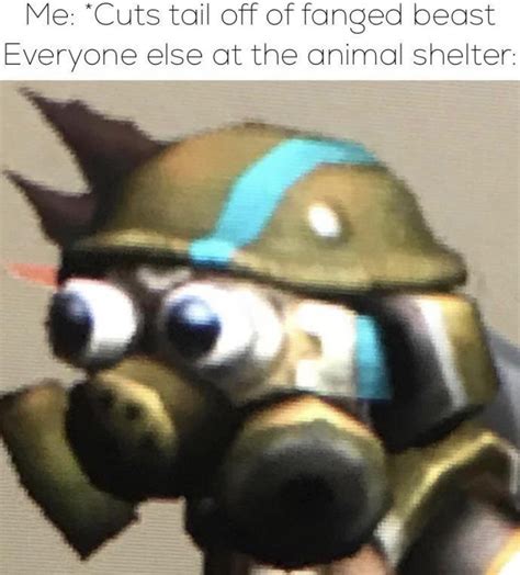 We Need Nibelsnarf Back R Memehunter