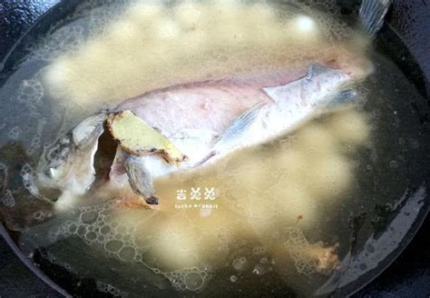 為什麼你做的魚湯不白也不濃？原來是做錯了這一步，趕快來看看！ 每日頭條