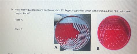 Solved Perform Answer The Following A Using Your Chegg