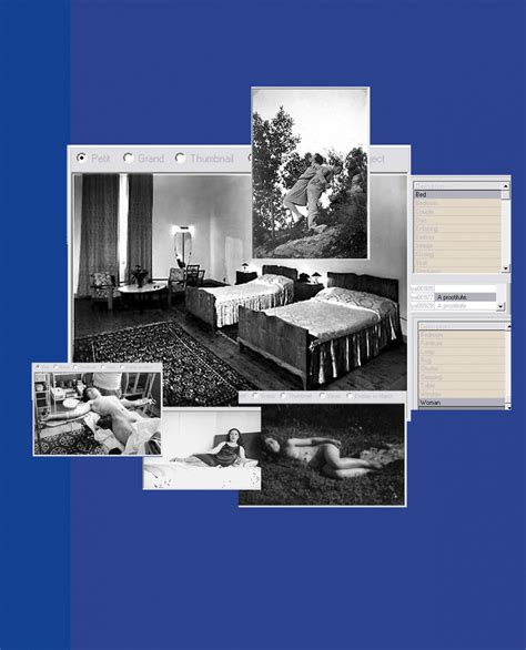 Sexndatabase A Corporeal Taxonomy Membrana