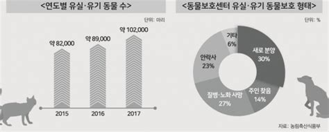 반려동물 천만 시대 유기동물 관련 법안 부실