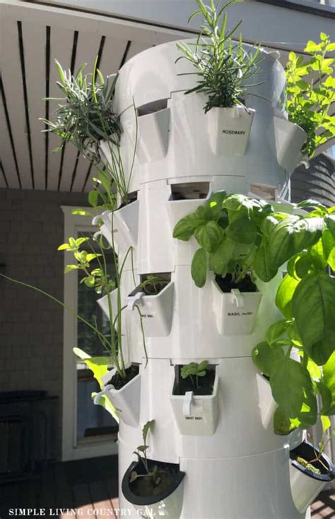 Indoor Garden Setup Simple Living Country Gal