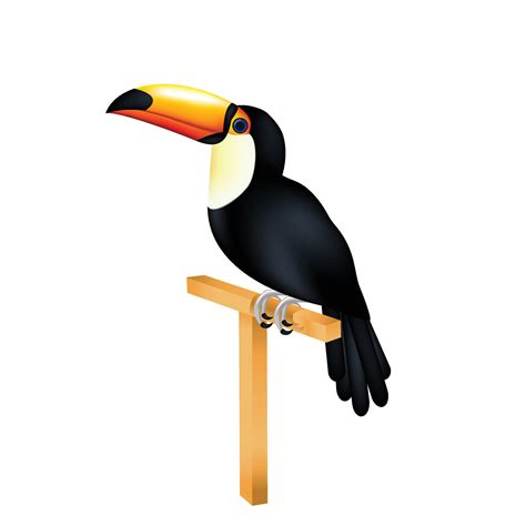 Vector Toucan Bird Vector File 29088235 Vector Art At Vecteezy