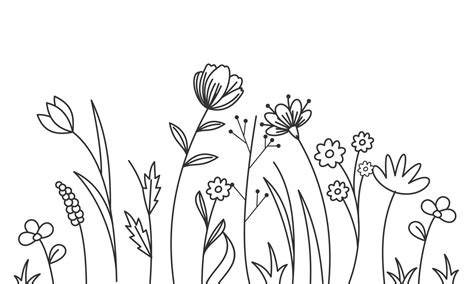 Black Silhouettes Of Grass Flowers And Herbs Isolated On White