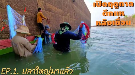 Ep 1 เปิดฤดูกาลตึกแห่หาปลาหลังเขื่อนปีนี้ ปลาใหญ่มาฮอดแล้ว ปลาอีขัวใหญ่