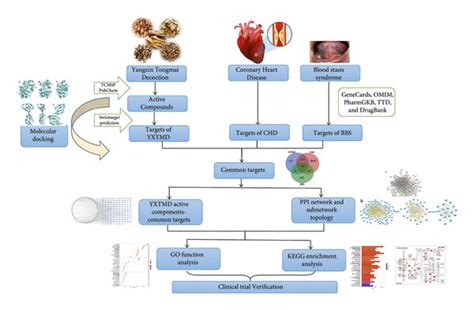 The Workflow Used In The Study Download Scientific Diagram