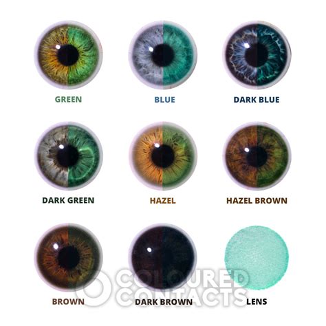 Dark Green Eye