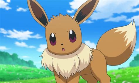 Adorable Eevee