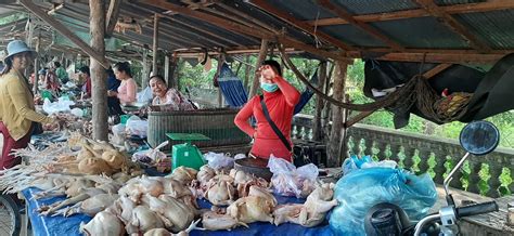 So Lucky To Have A Python Cambodia Expats Online Forum News