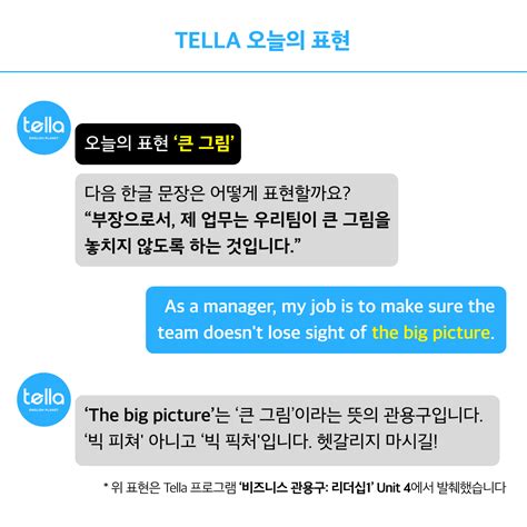 큰 그림을 놓치지 않도록👨‍🎨 영어로 어떻게 표현할까요 텔라가 영어회화의 새로운 상식 텔라