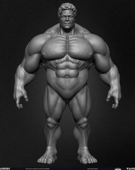 Super Human 3d Anatomy Model Zbrushcentral