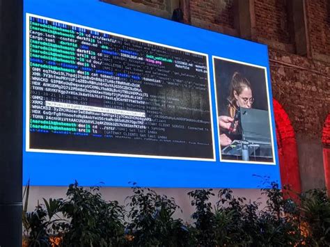 ‘going Dark With Rachel Rose Oleary From The Anonymous Defi Network
