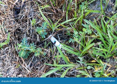 Cigarette In The Grass Stock Image Image Of Nicotine 230531723