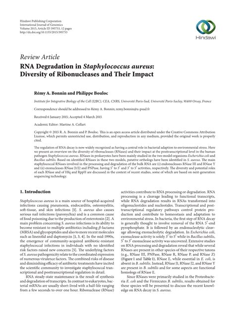 Review Article Rna Degradation In Staphylococcus Aureus Diversity Of