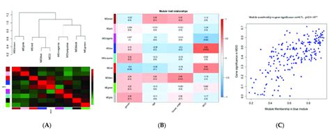 A The Eigengene Adjacency Heatmap The Dendrogram Indicates That The Download Scientific