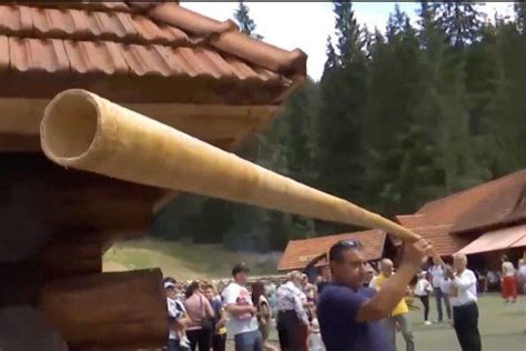 Цікаве про Україну найдовша трембіта світу Читайте на Ukr Net