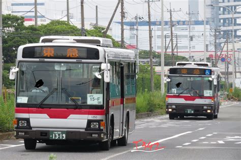 亀甲 On Twitter 横浜市営バス 今年は夜の輸送に初参戦した横浜市営。日中は黄水玉がメインと渋めの配車でしたが、day2の夜は一般