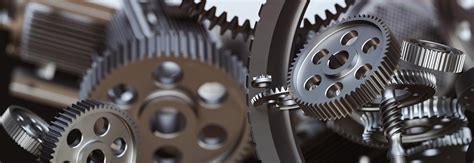 Essential Guide To Tree And Shrub Fertilizer