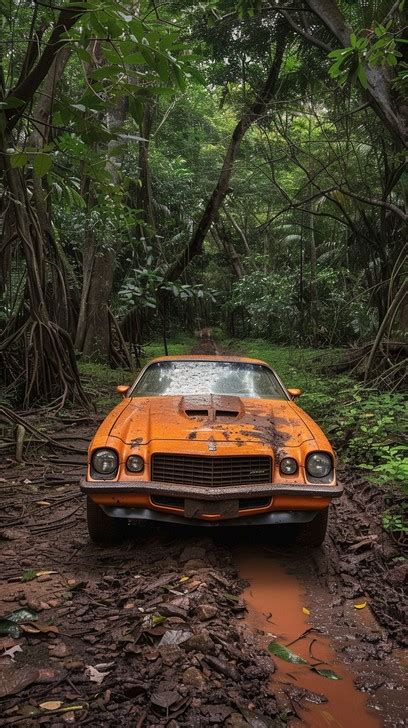 Free Abandoned Orange Car Image Abandoned Car Forest Download At