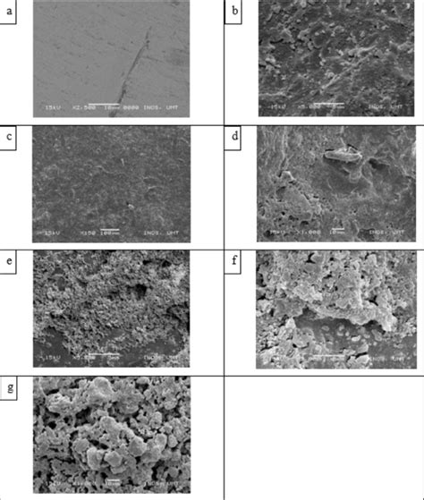 Surface Analyses By Sem A Uncoated Mild Steel Surface B Without