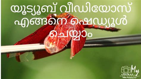 Youtube Video Sheduling Youtube