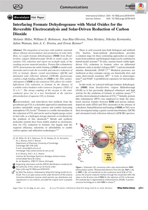 Pdf Interfacing Formate Dehydrogenase With Metal Oxides For
